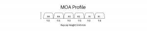 Ultimate Guide to Keycap Profiles | Akko Official Global Site